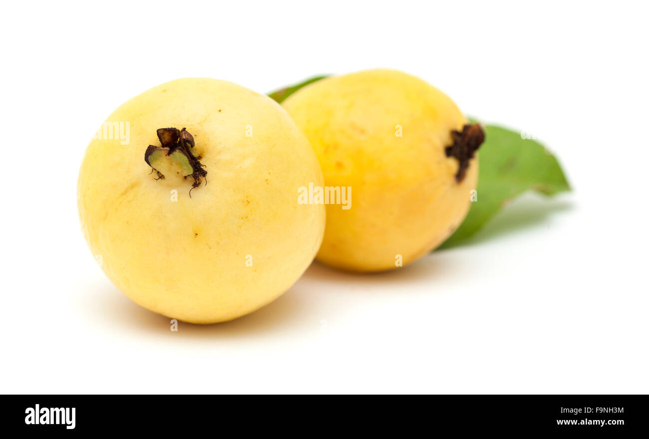 yellow guava fruit isolated on white background Stock Photo - Alamy