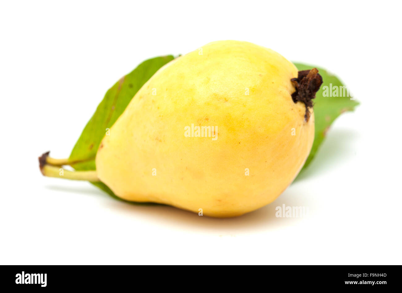 Yellow guava fruit hi-res stock photography and images - Alamy