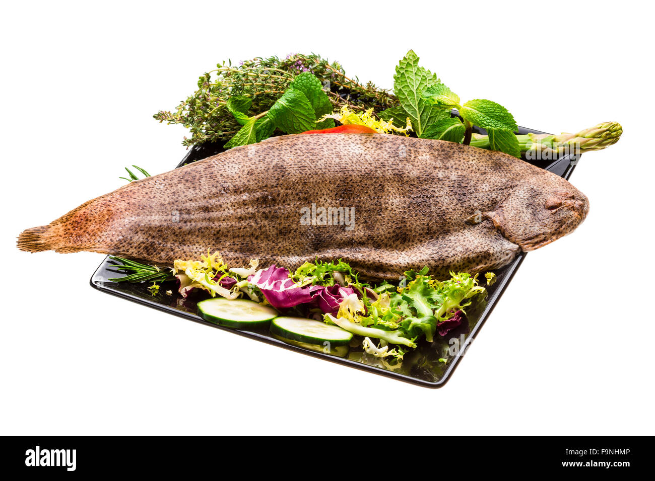 Fish Dover sole Stock Photo - Alamy
