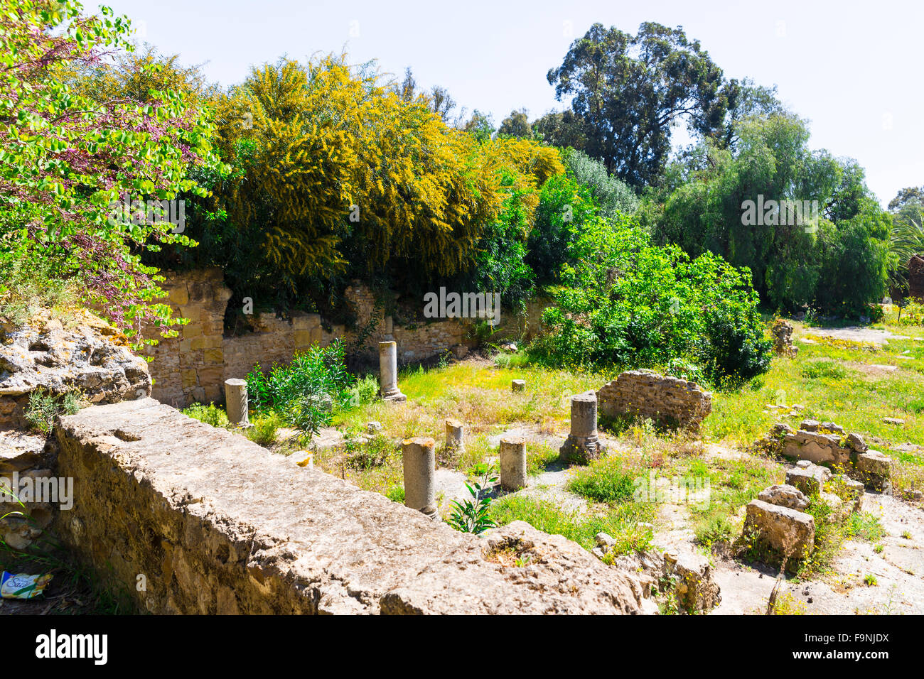 Old Carthage ruins in Tunisia Stock Photo - Alamy