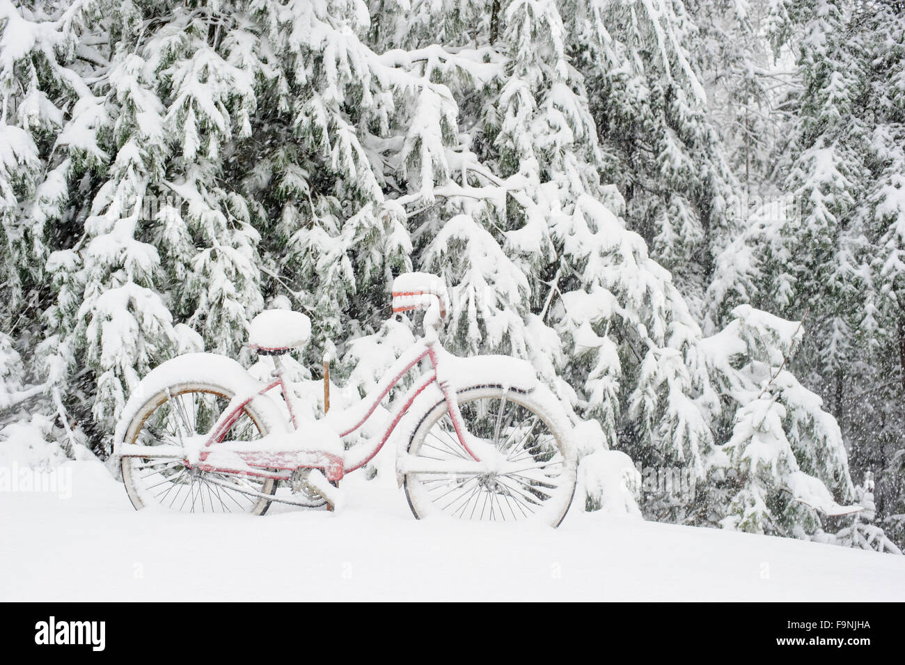 Falling snow bicycle hi-res stock photography and images - Alamy