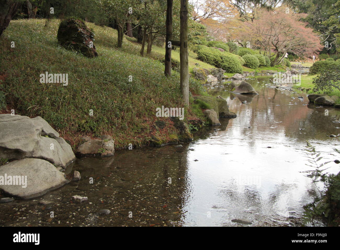 pond in park Stock Photo - Alamy