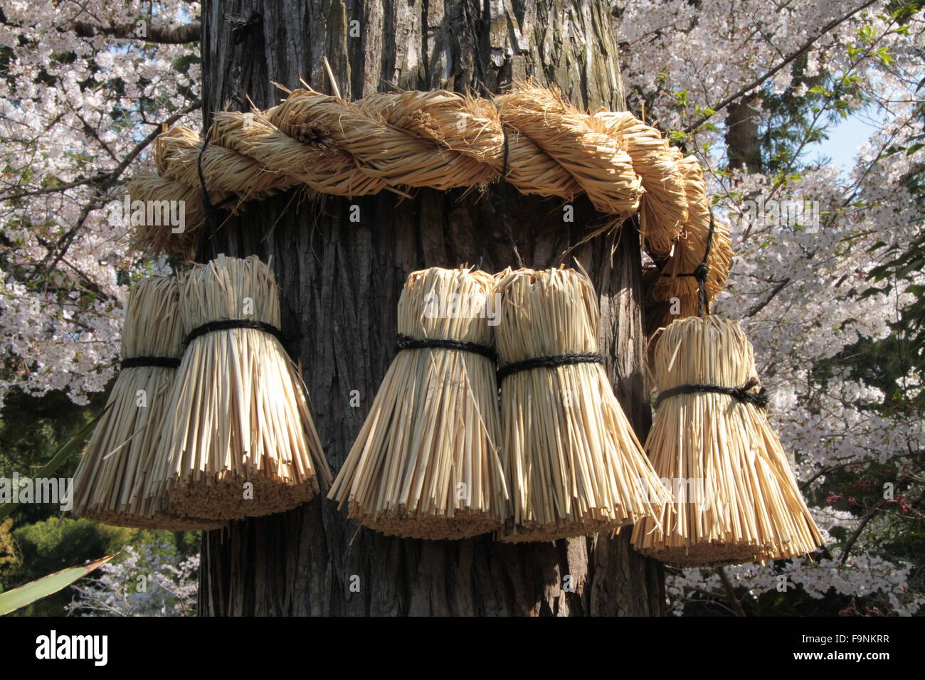 Straw rope hi-res stock photography and images - Alamy