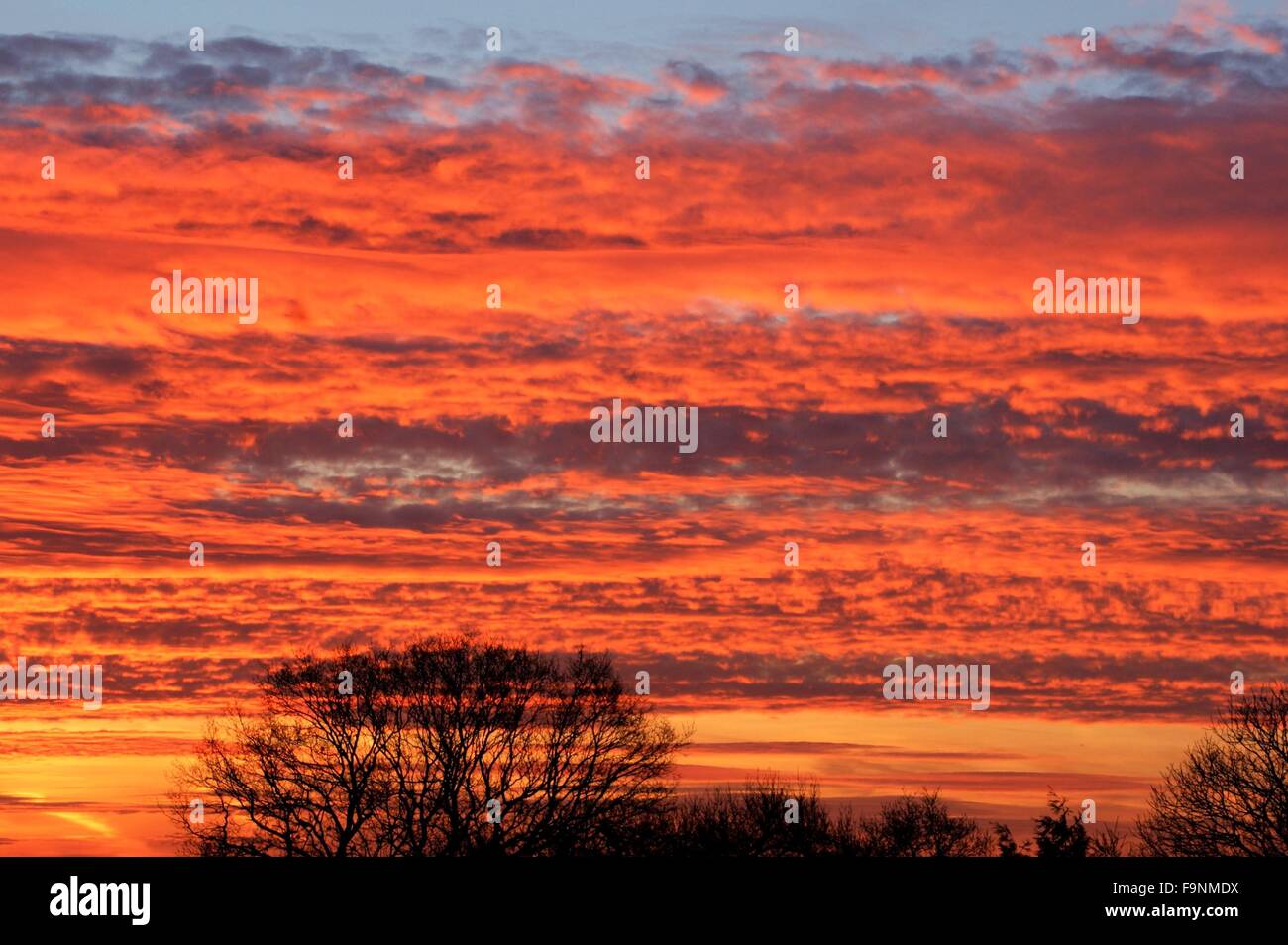 red sky scene Stock Photo - Alamy