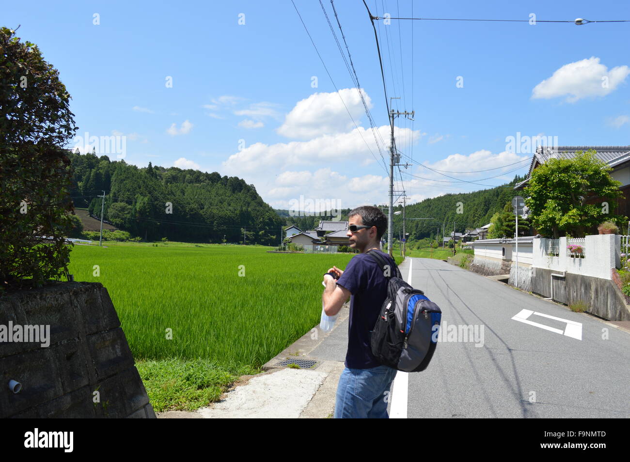 Green agriculture field in a hilly village of Japan Stock Photo - Alamy