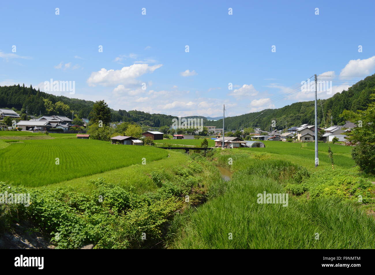 Green agriculture field in a hilly village of Japan Stock Photo - Alamy