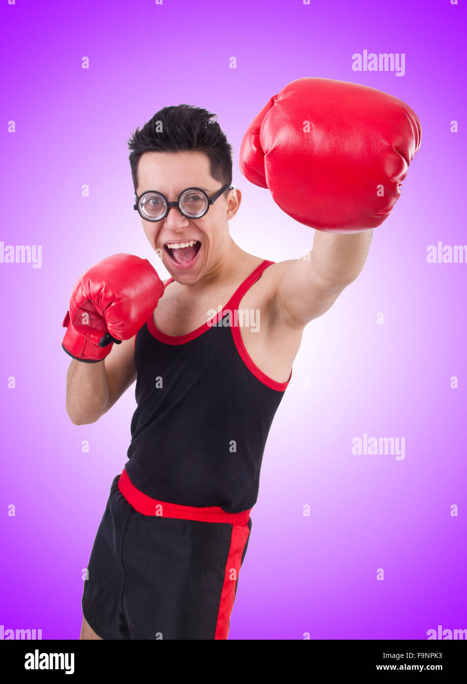Funny boxer isolated on the white background Stock Photo - Alamy