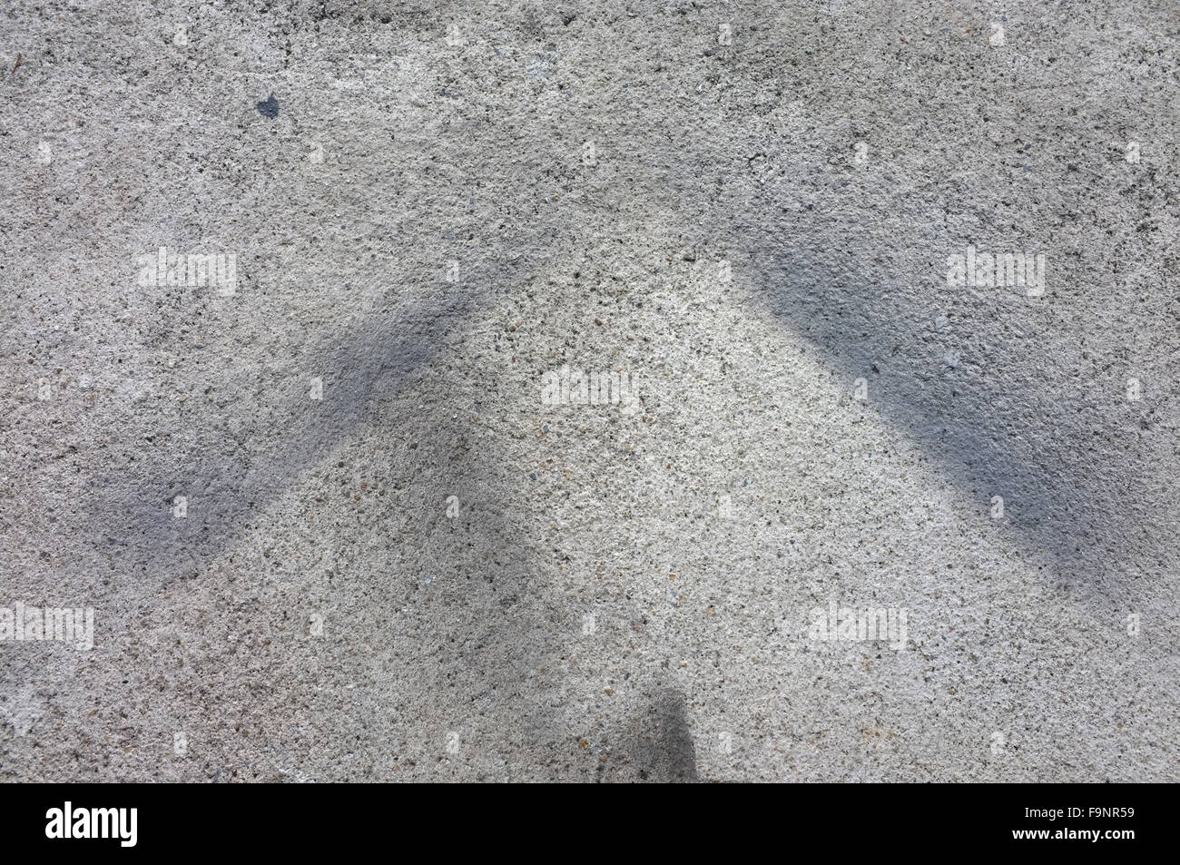 Texture of concrete cement Stock Photo - Alamy