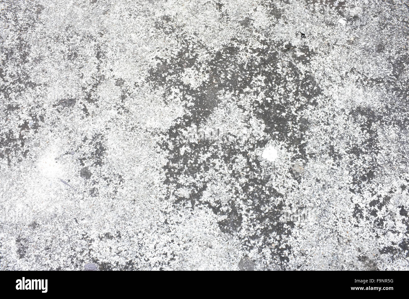Texture of concrete cement Stock Photo - Alamy