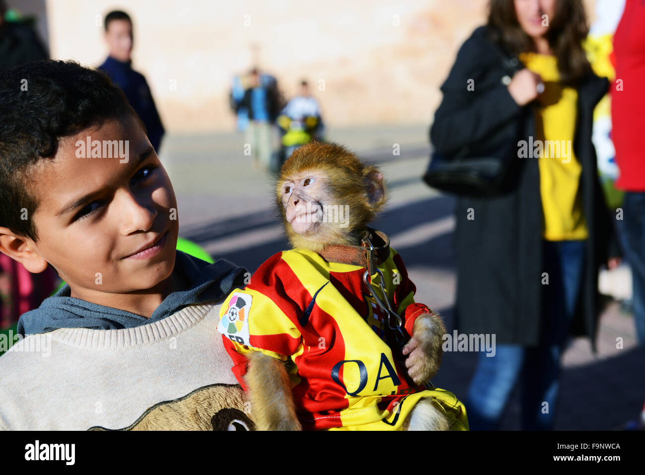Monkey dressed up hi-res stock photography and images - Alamy