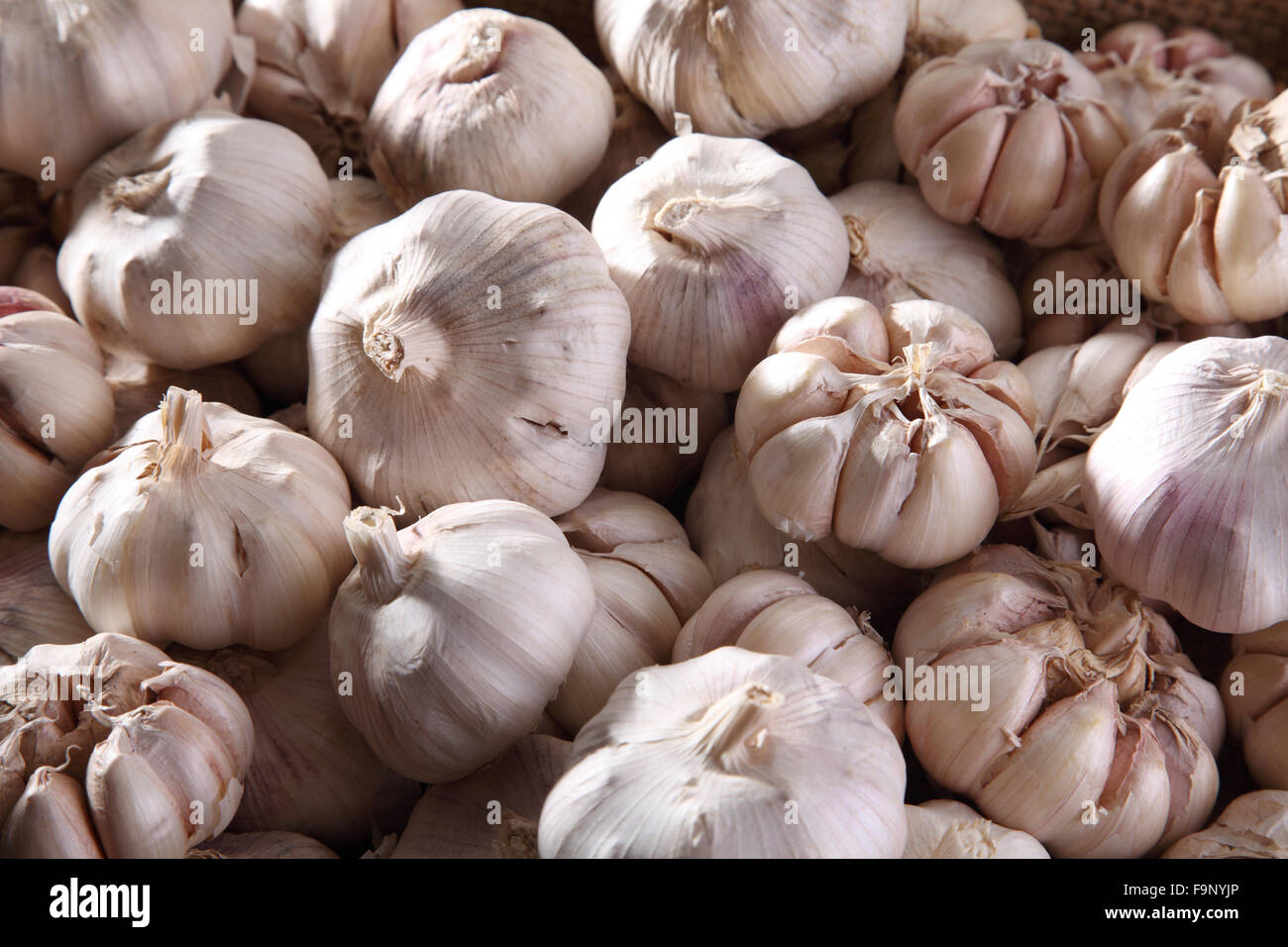 close up of the garlic in a crate Stock Photo - Alamy
