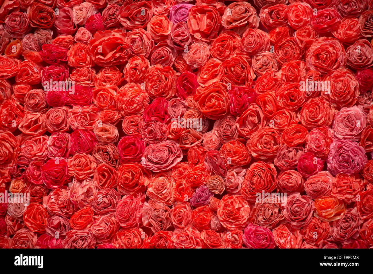 Pattern of red roses as background Stock Photo - Alamy