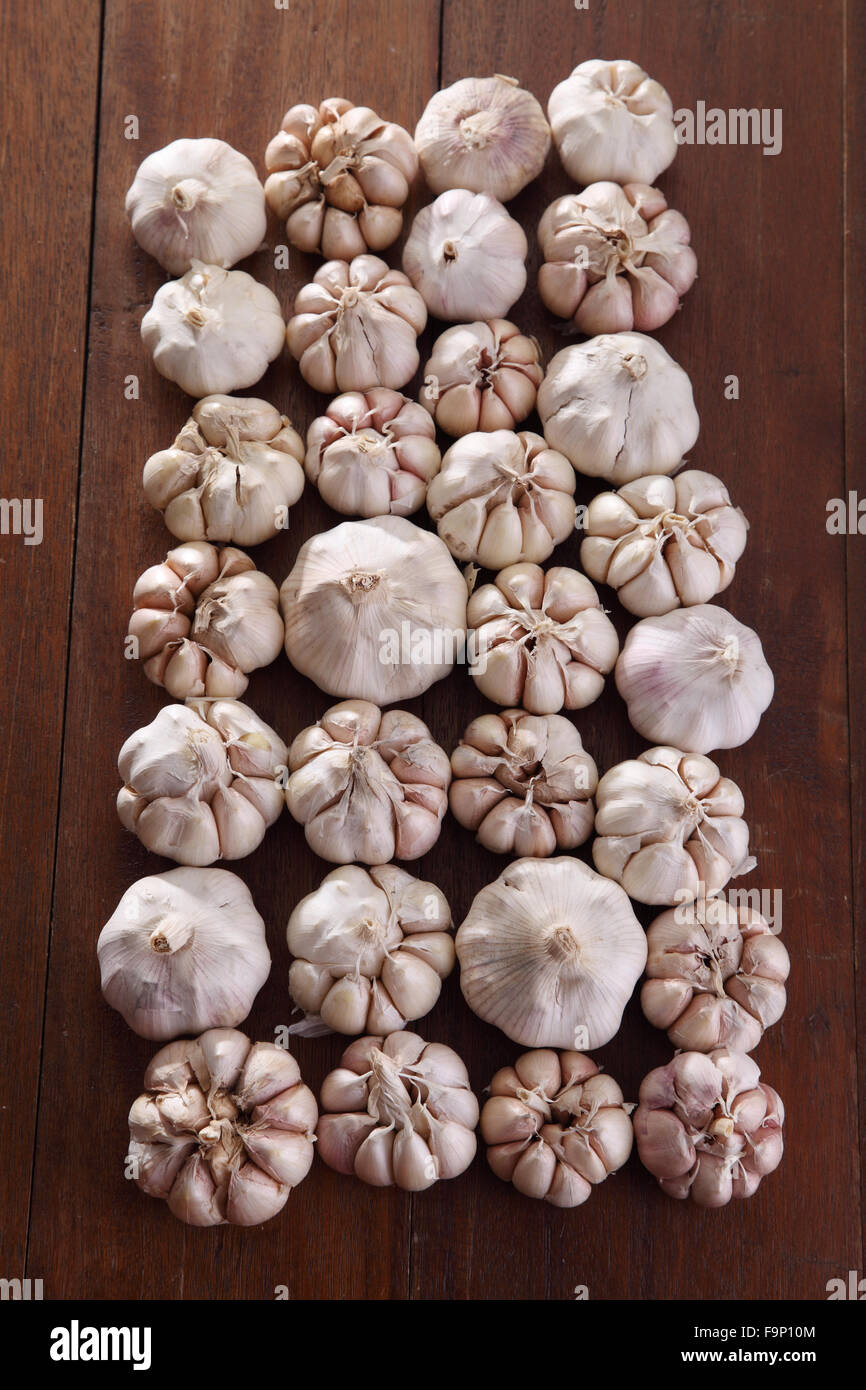 different size and shape of garlic well arranged Stock Photo - Alamy
