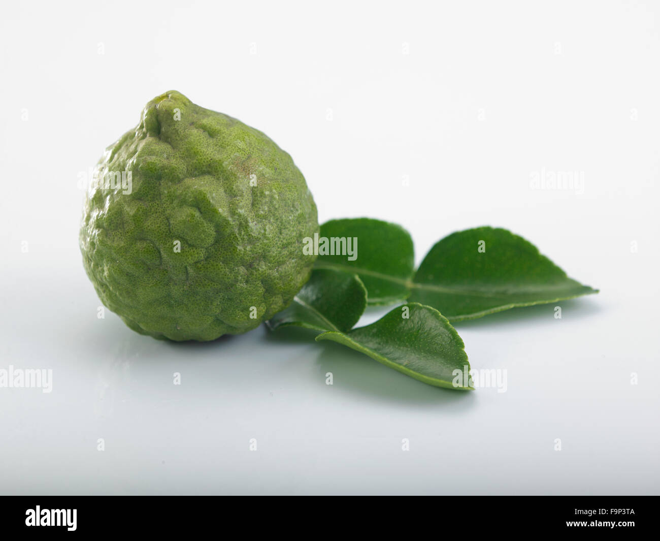bergamot kaffir lime leaves herb fresh ingredient food asian thailand ...