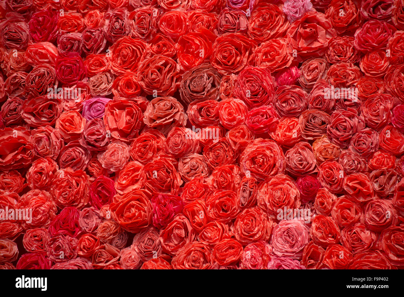 Pattern of red roses as background Stock Photo - Alamy