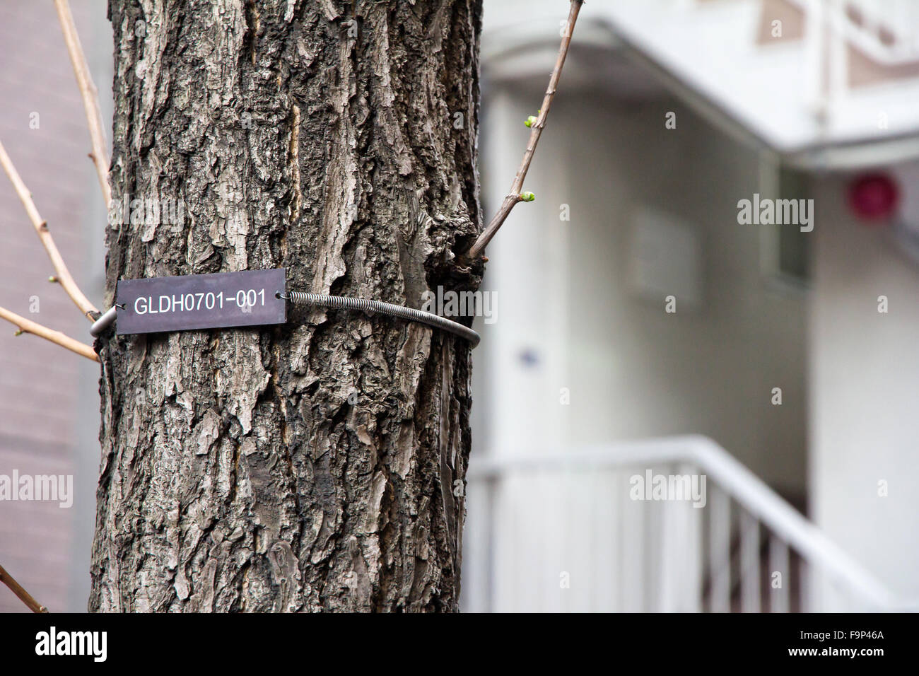 Numerical labels hi-res stock photography and images - Alamy