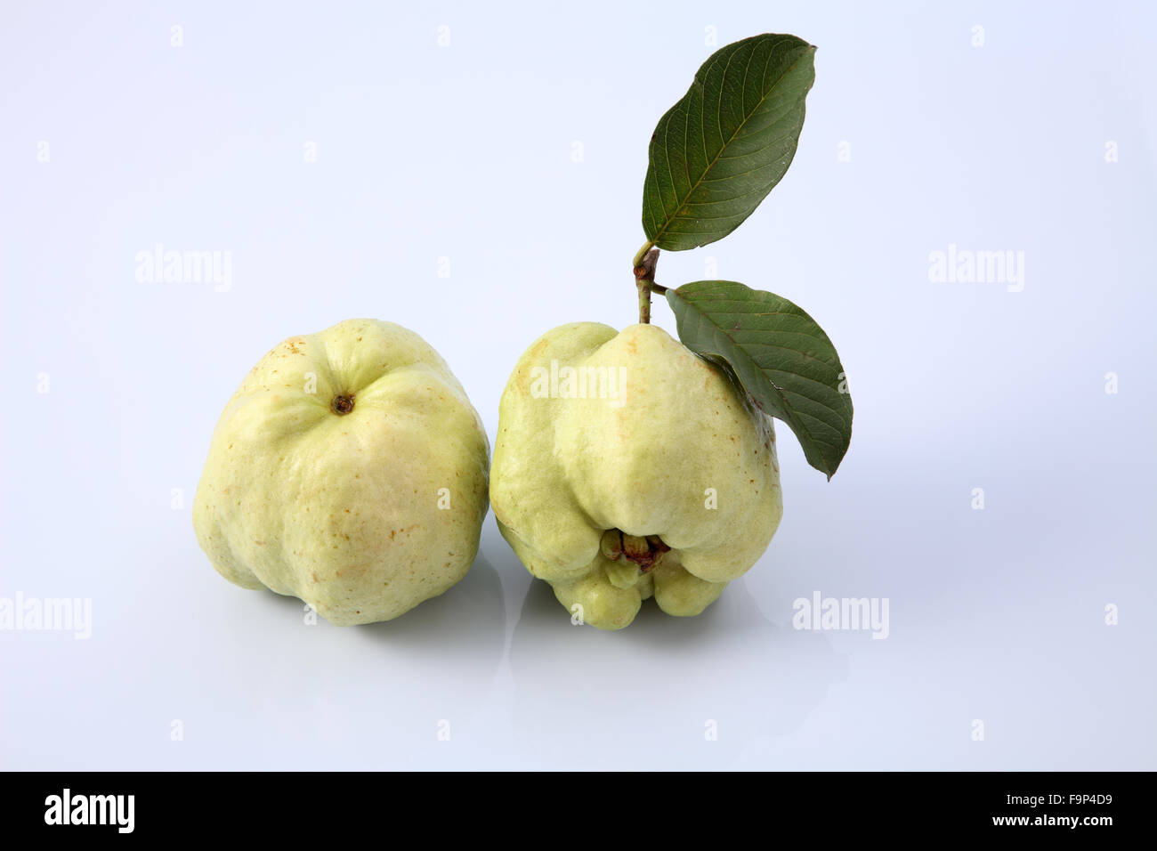 Quava hi-res stock photography and images - Alamy