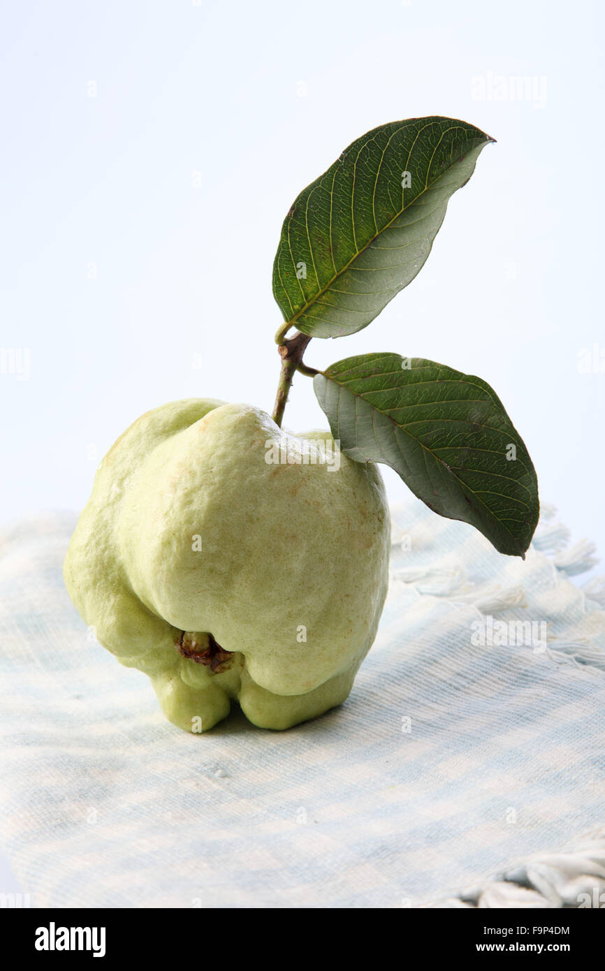Quava hi-res stock photography and images - Alamy