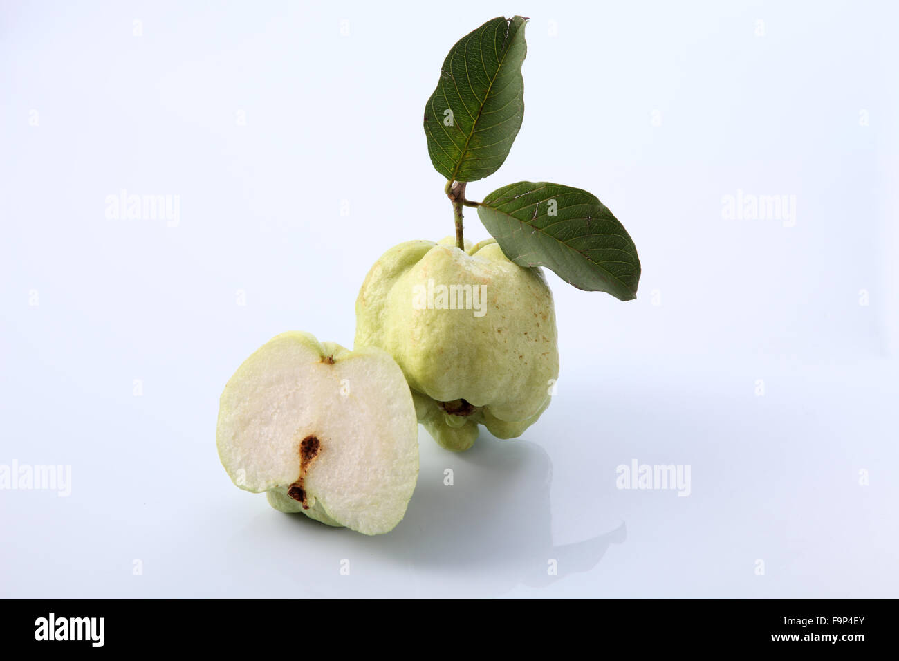 green quava with leaf on the white background Stock Photo - Alamy