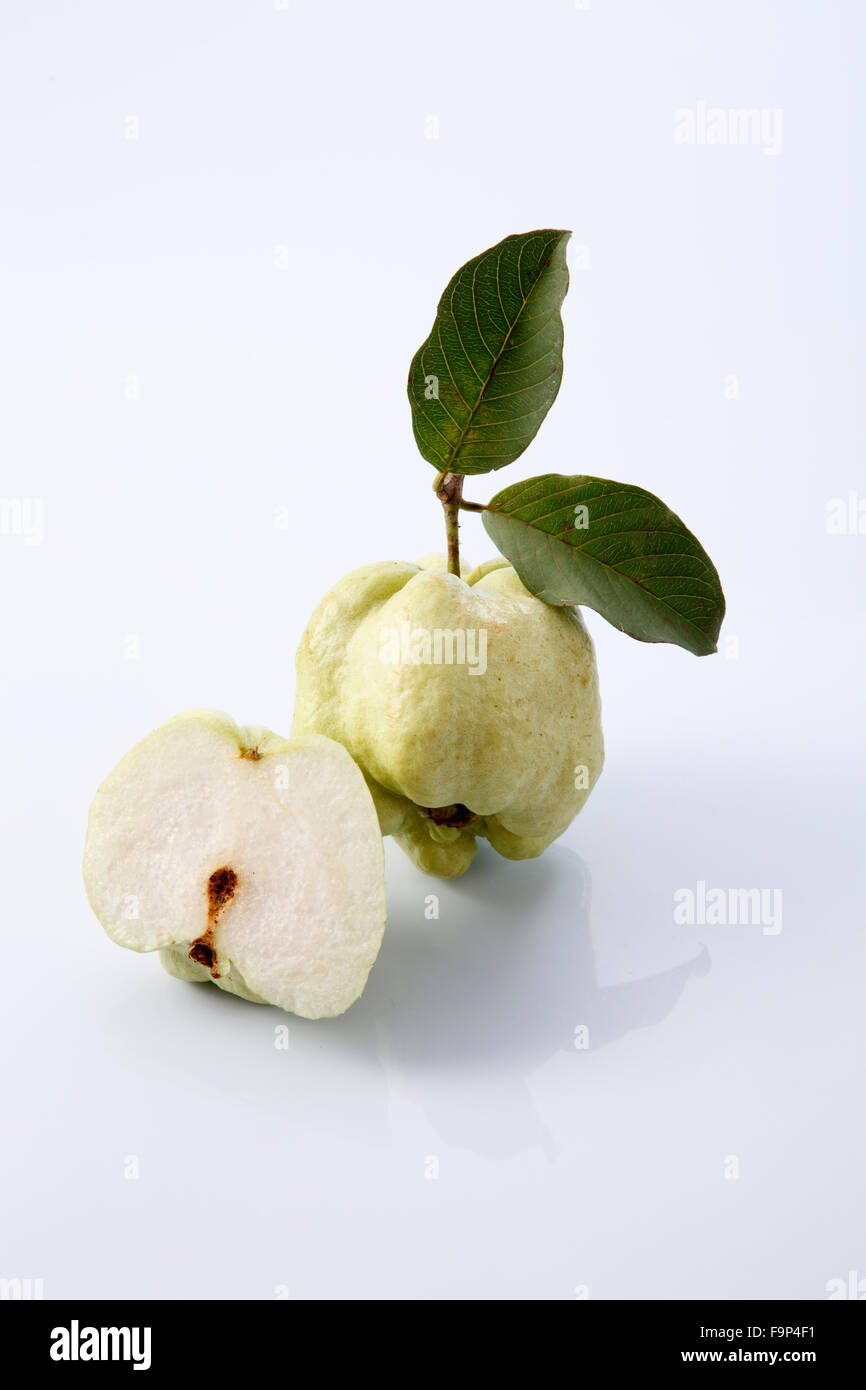 green quava with leaf on the white background Stock Photo - Alamy