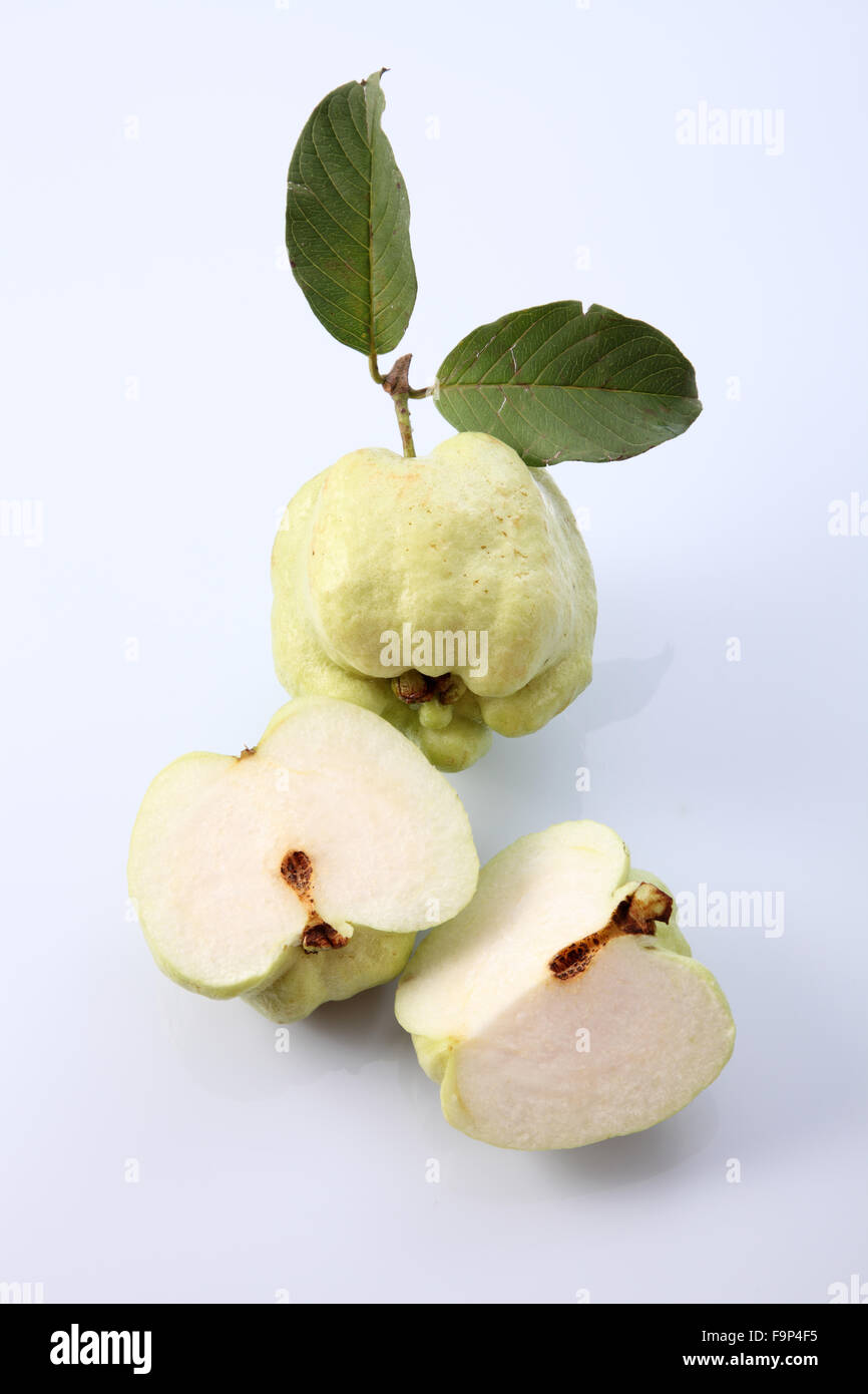 green quava with leaf on the white background Stock Photo - Alamy