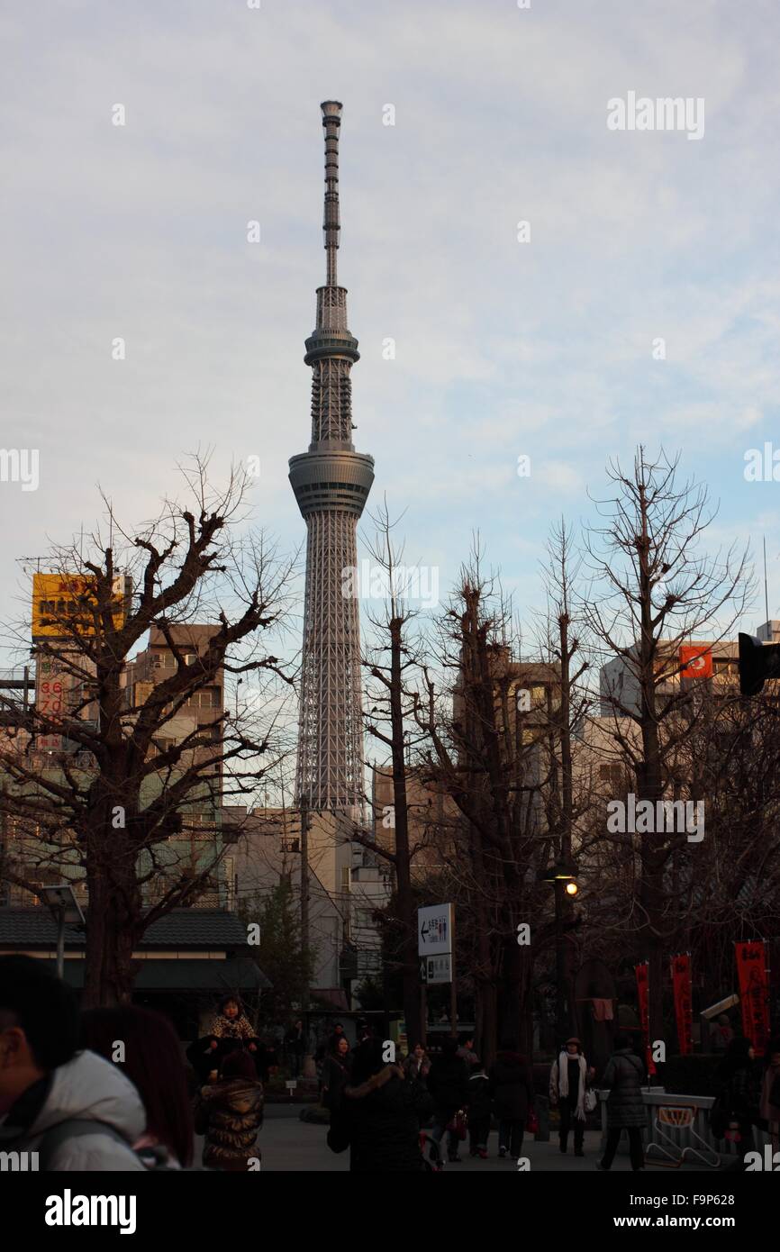 Tokyo skyline at sunset with tokyo sky tree 634m hi-res stock ...