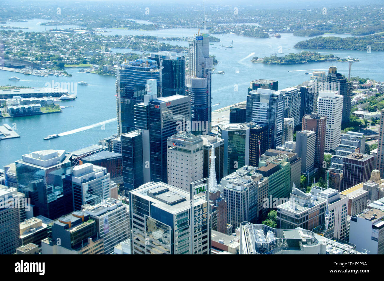 View seen from the Sydney Tower Observation Deck Stock Photo - Alamy