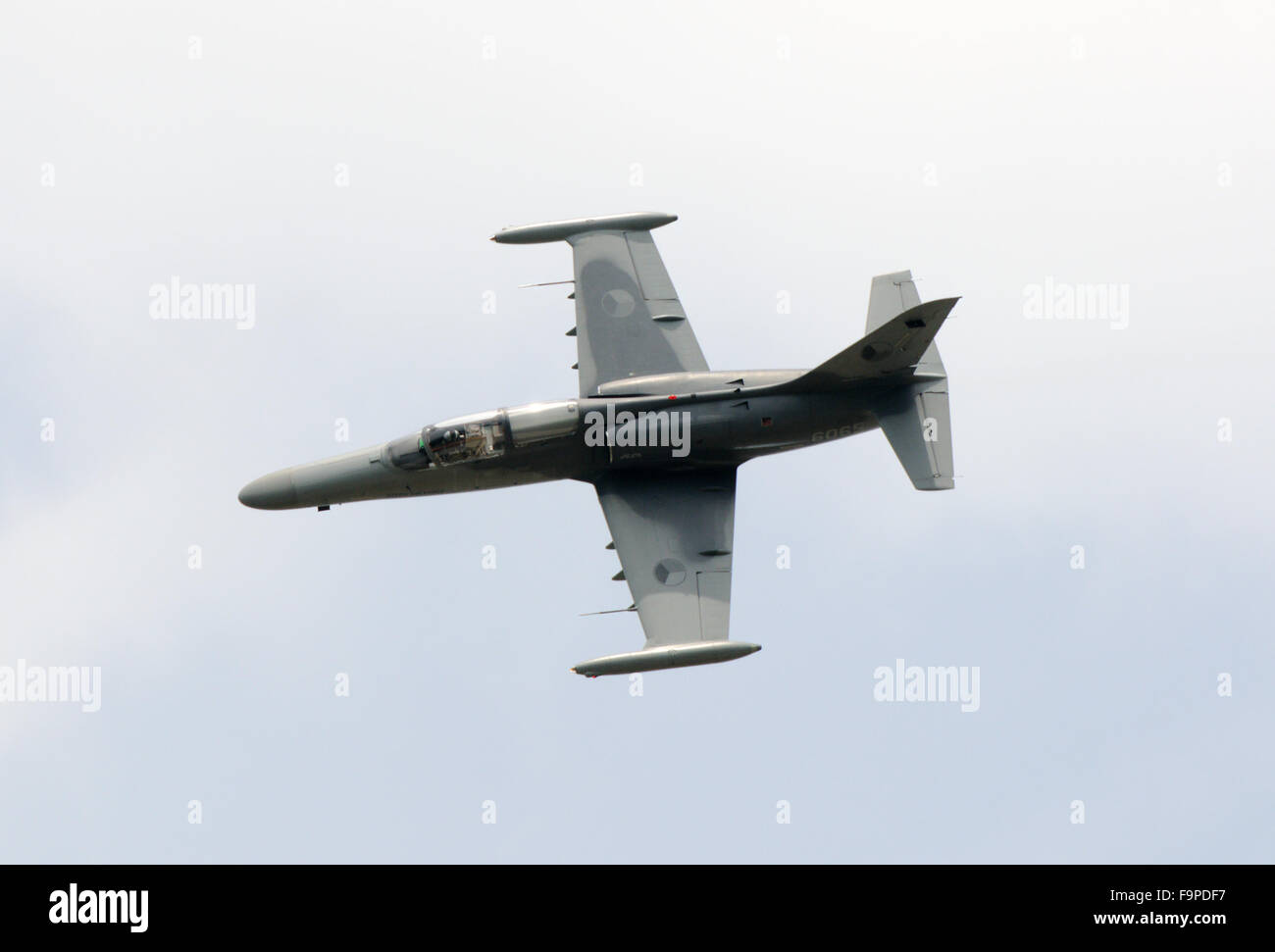 159 alca hi-res stock photography and images - Alamy