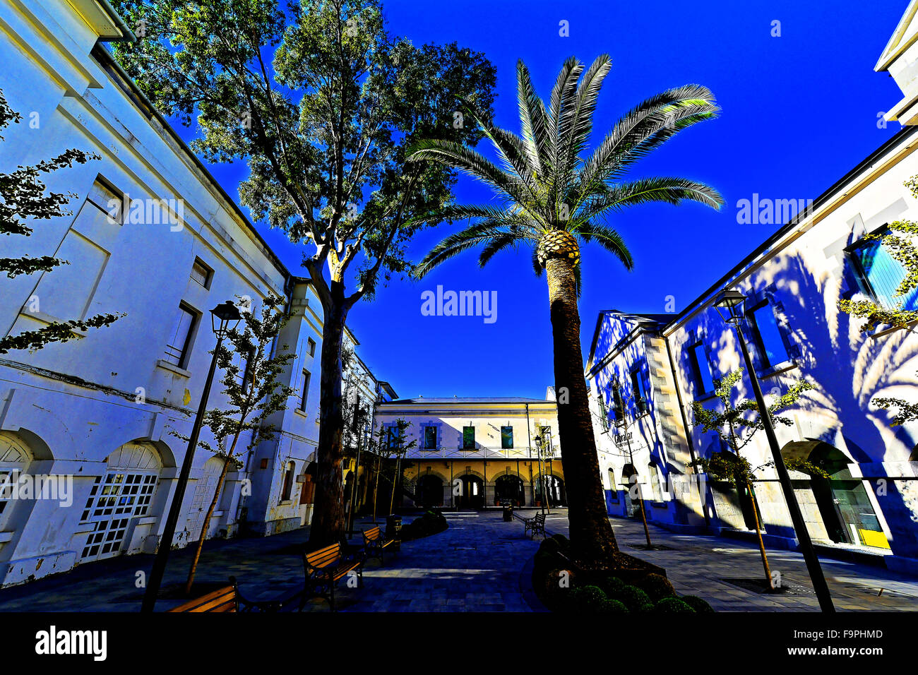 Gibraltar International Bank buildings palm trees blue sky Stock Photo ...