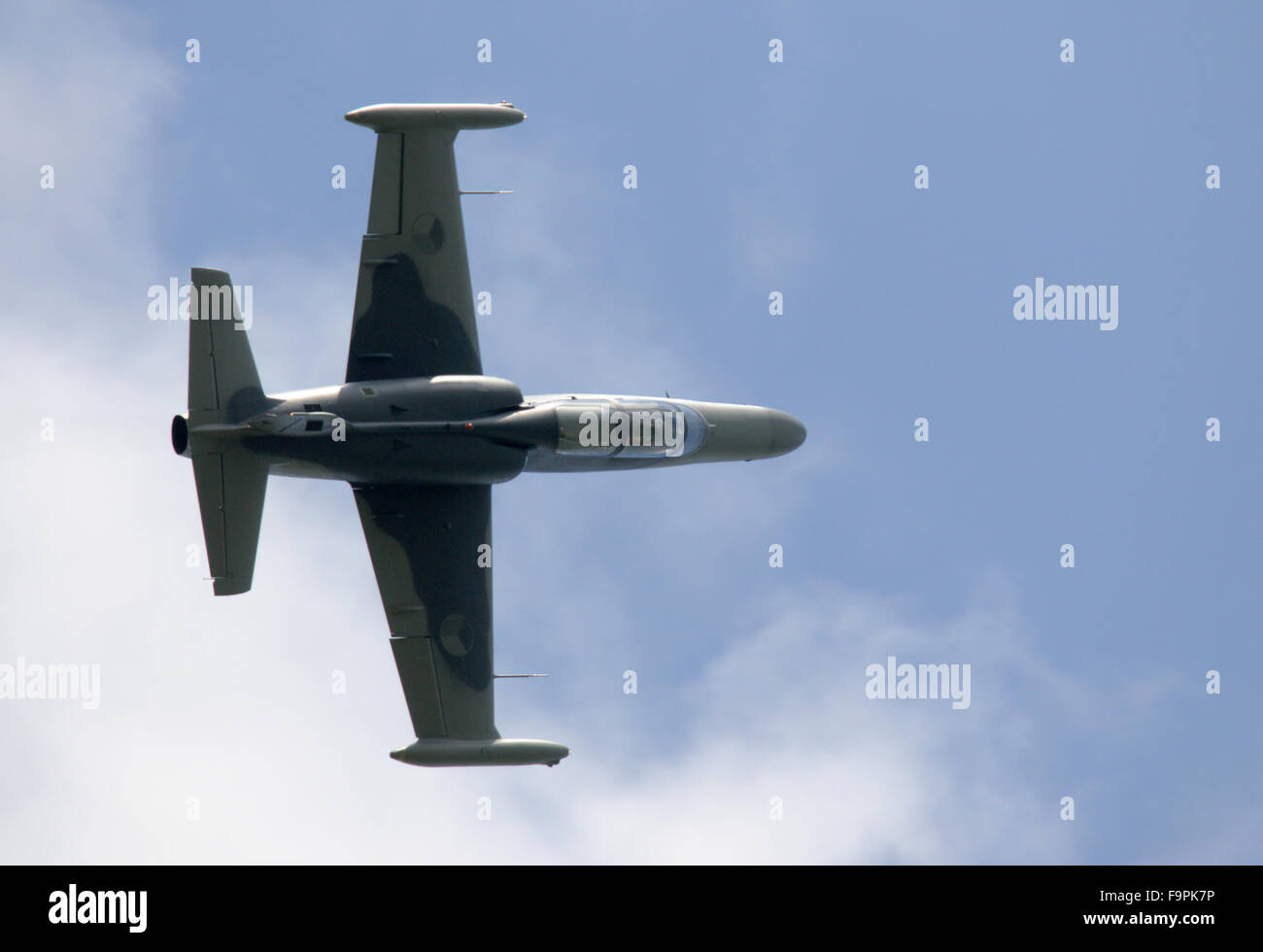 159 alca hi-res stock photography and images - Alamy