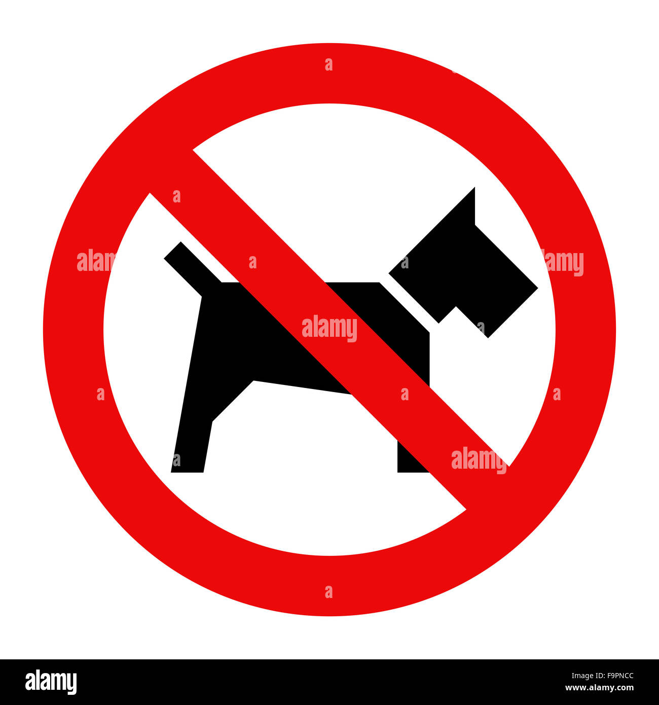 No dogs sign isolated on white background Stock Photo - Alamy