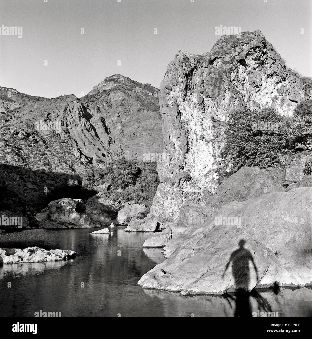 A black and white photograph of a nature scene with a person's shadow ...