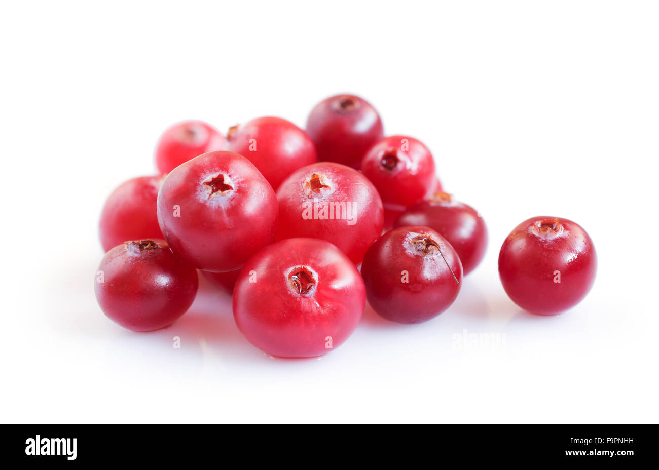 Cranberry isolated on white background Stock Photo - Alamy
