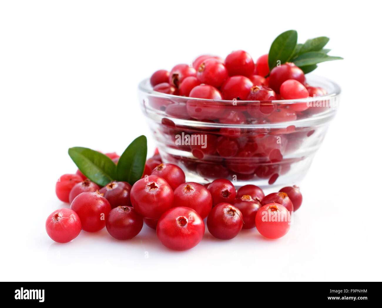 Bowl fresh cranberries isolated Cut Out Stock Images & Pictures - Alamy