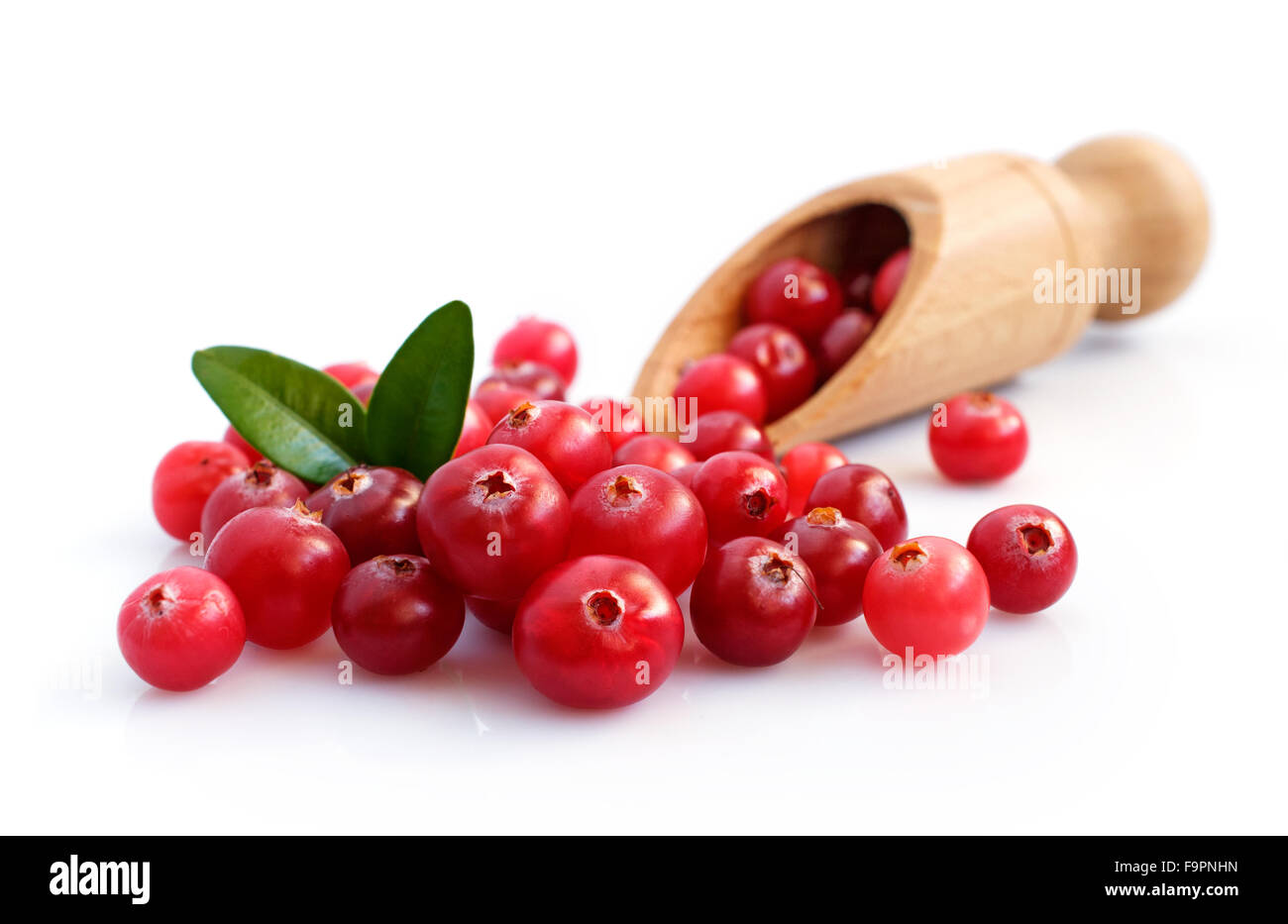 Cranberry basket Cut Out Stock Images & Pictures - Alamy