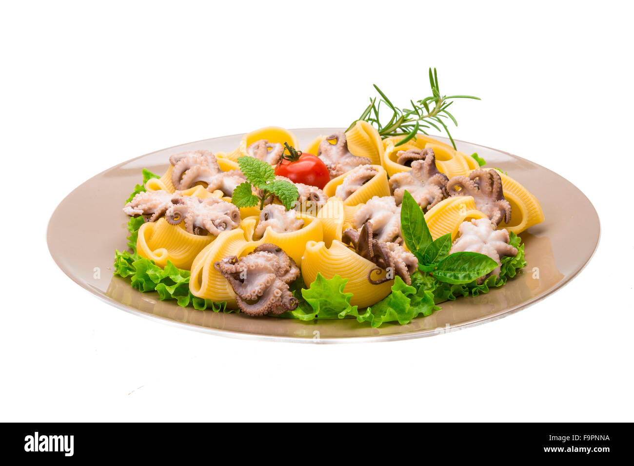 Octopus with shells Cut Out Stock Images & Pictures - Alamy