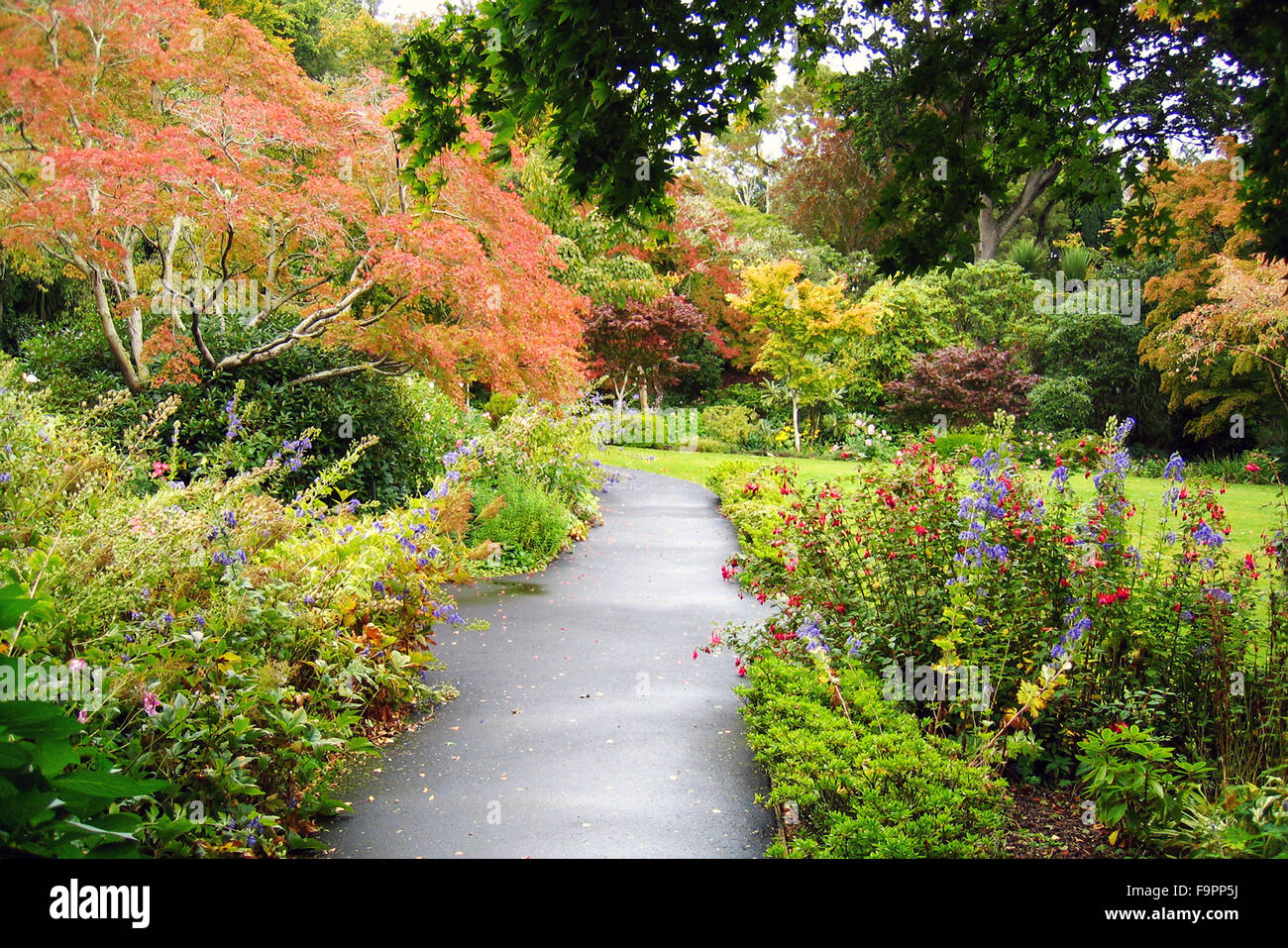 New Zealand botanical garden path Stock Photo - Alamy