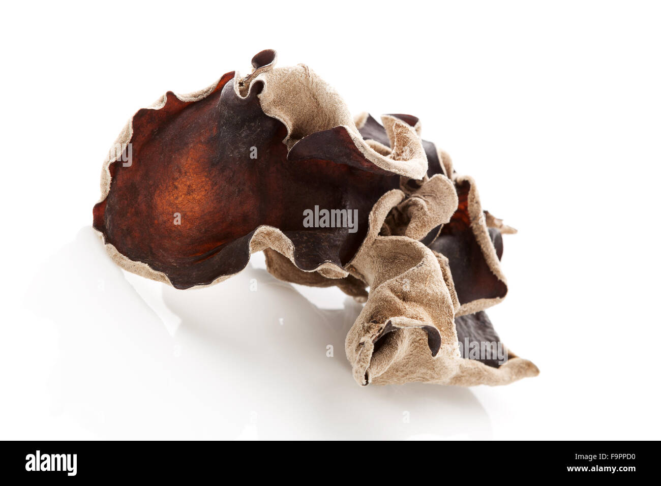 Jews ear hi-res stock photography and images - Alamy