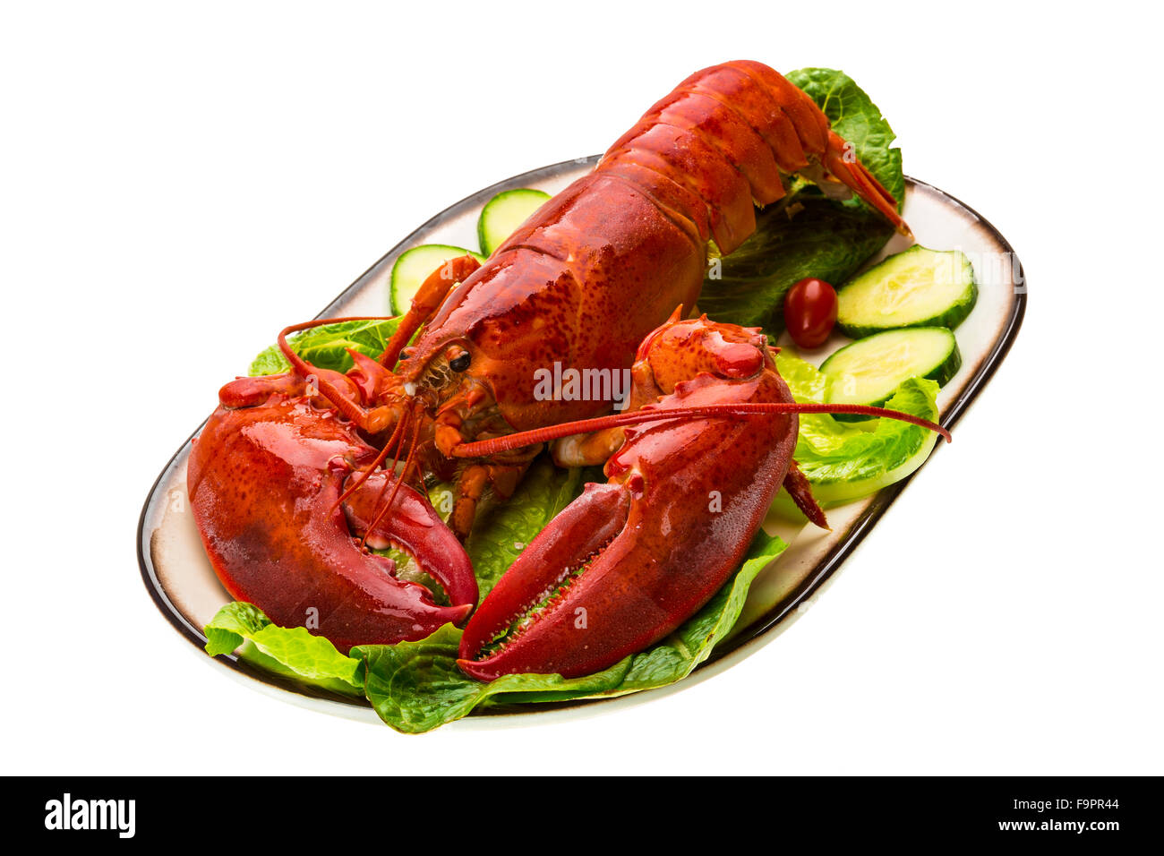 Large Lobster Stock Photo, Royalty Free Image: 92084836 - Alamy