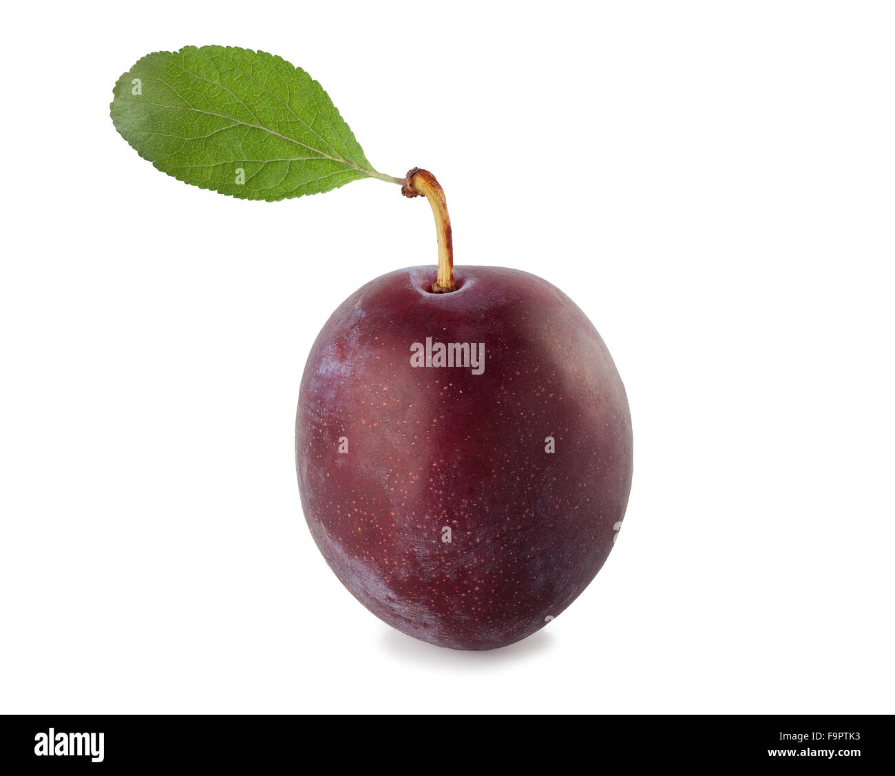 Fresh plum hi-res stock photography and images - Alamy
