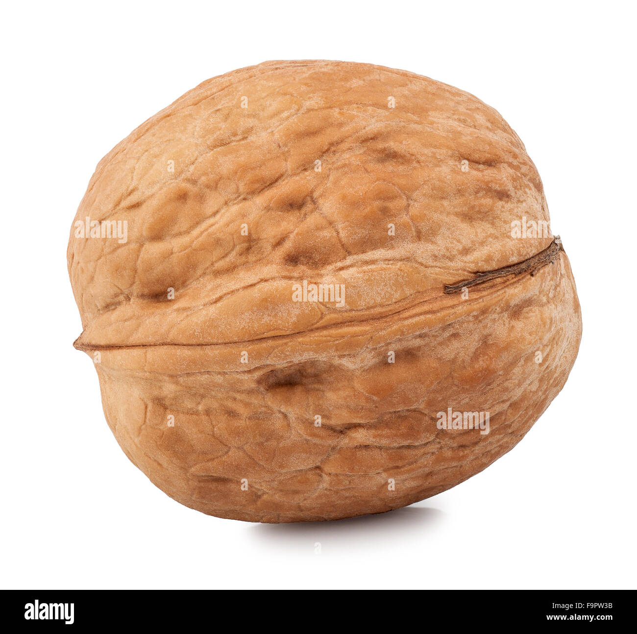 One Walnut