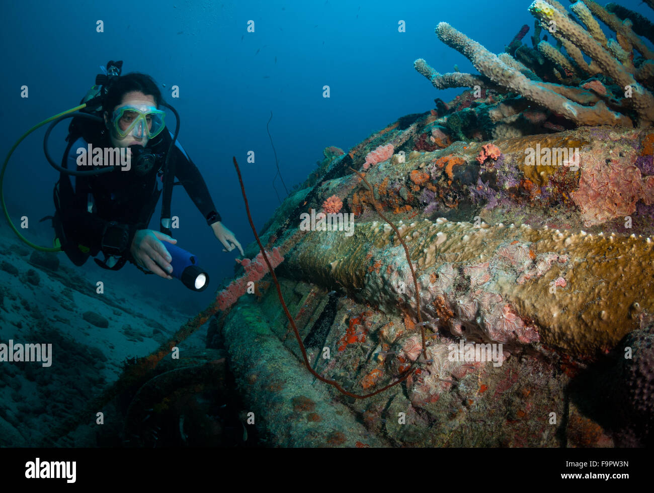 Woman diver on the Front Porch dive site, Bonaire, Netherlands Antilles ...