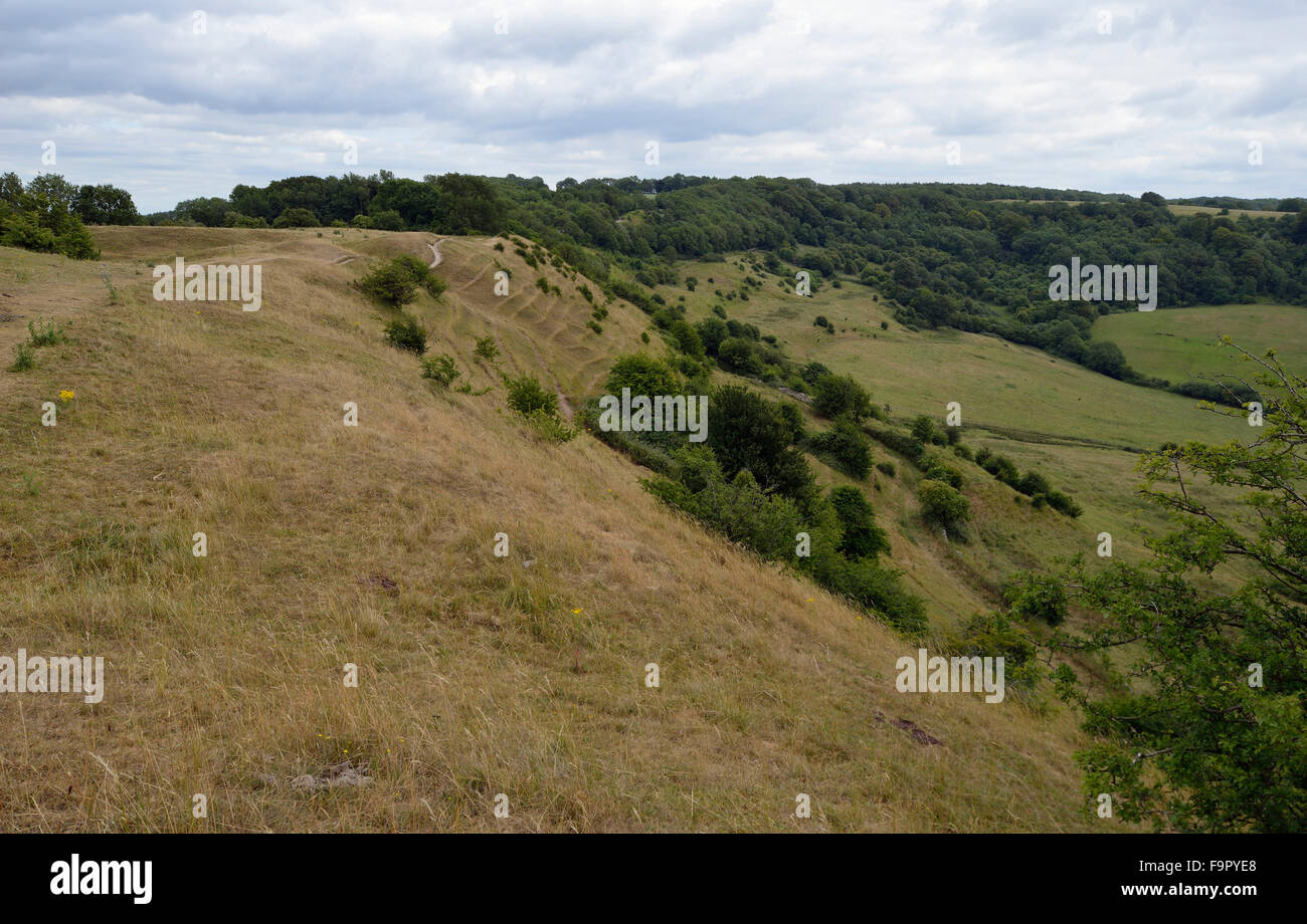 Limestone grassland hi-res stock photography and images - Alamy
