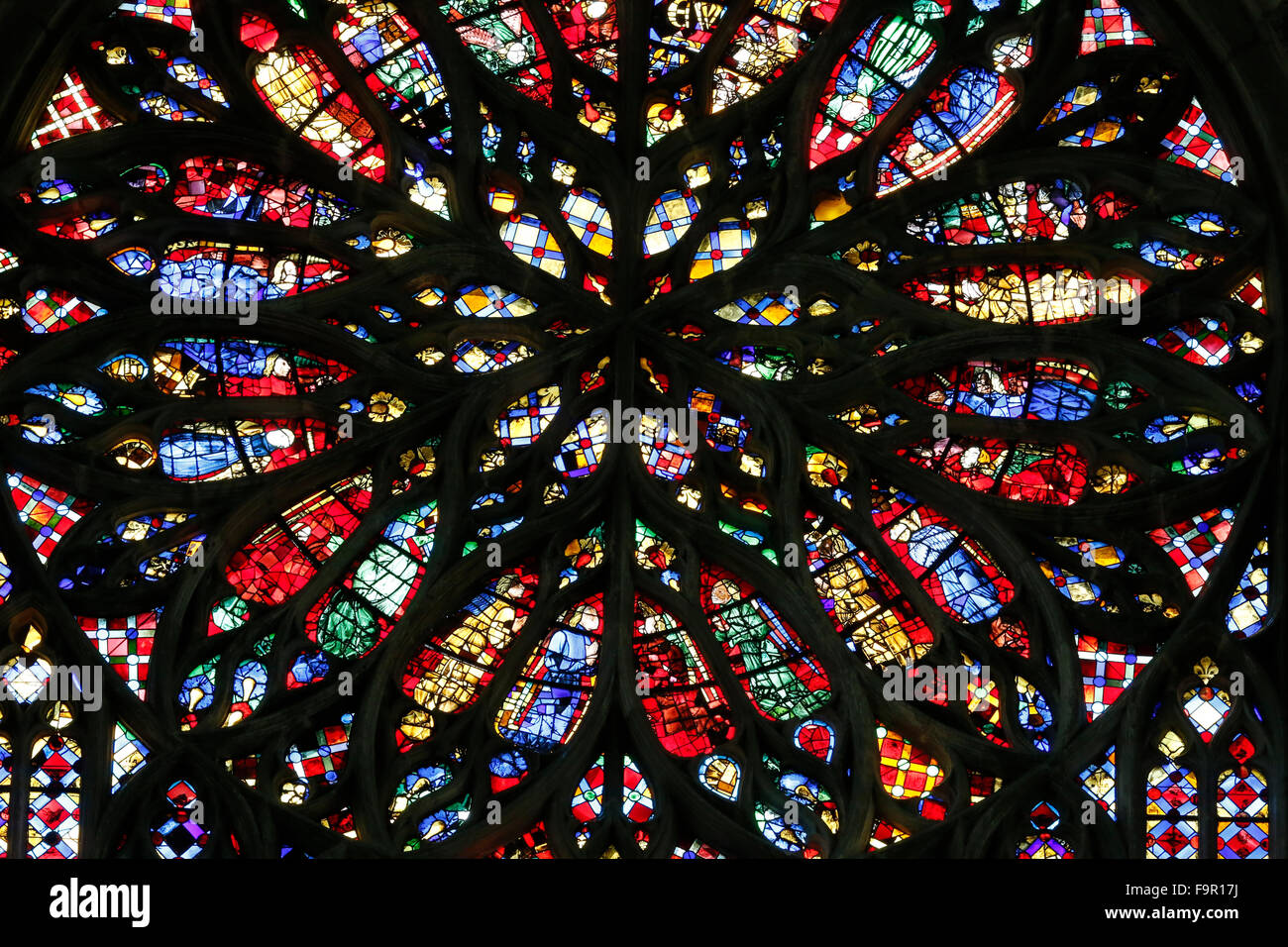 Notre-Dame d'Amiens cathedral. Rose window of the southern transept ...