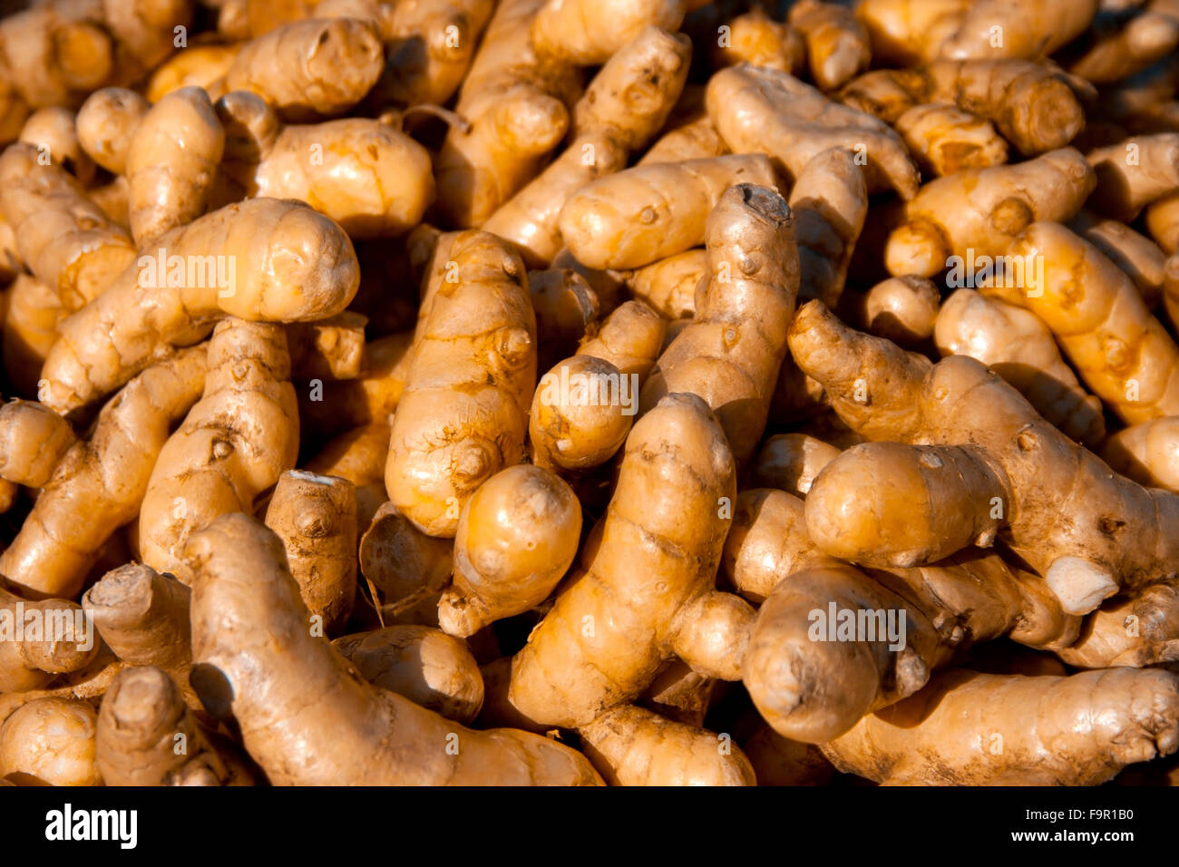 Indian ginger hi-res stock photography and images - Alamy