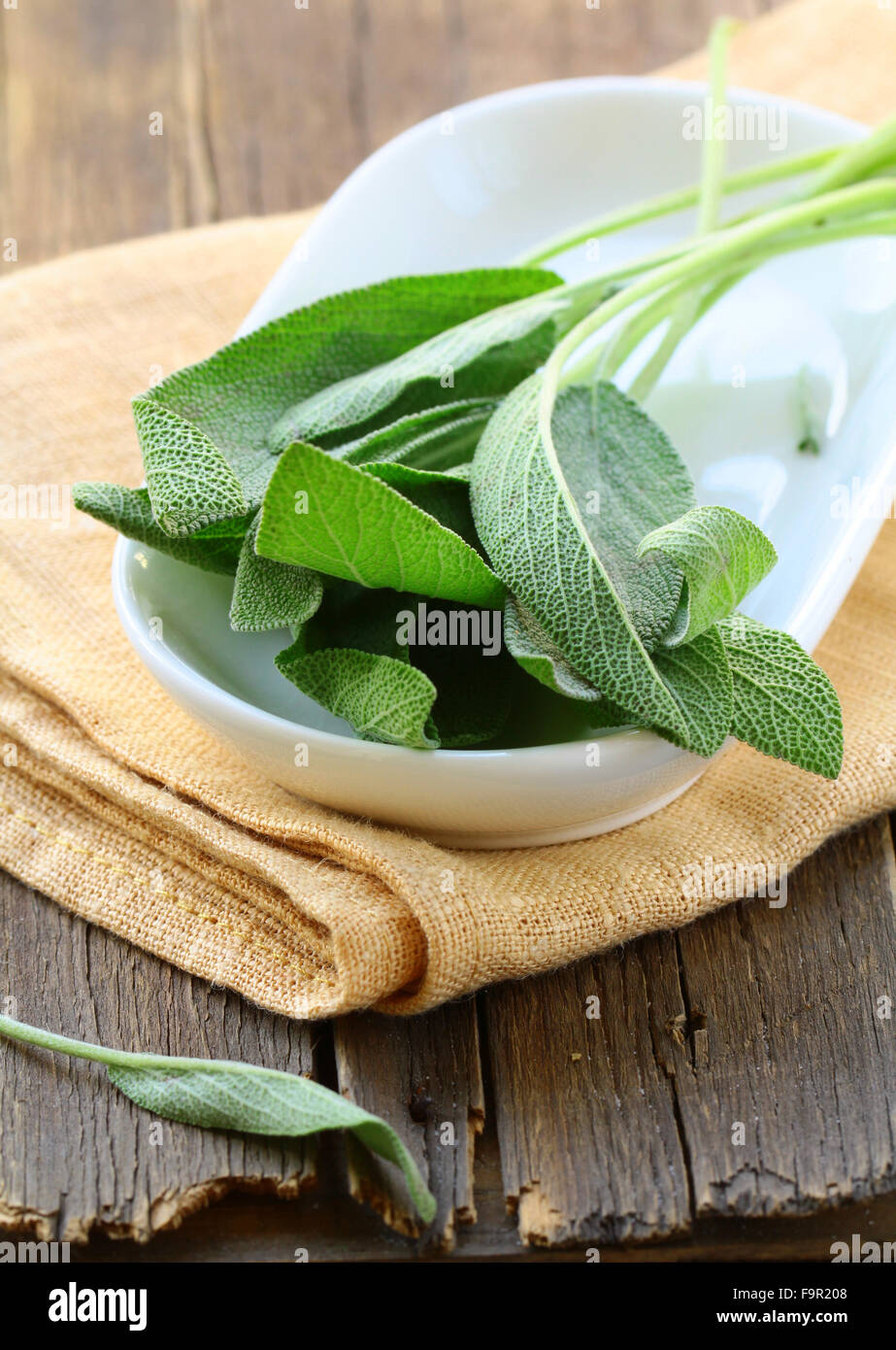 Fresh organic green fragrant sage on a wooden table Stock Photo - Alamy