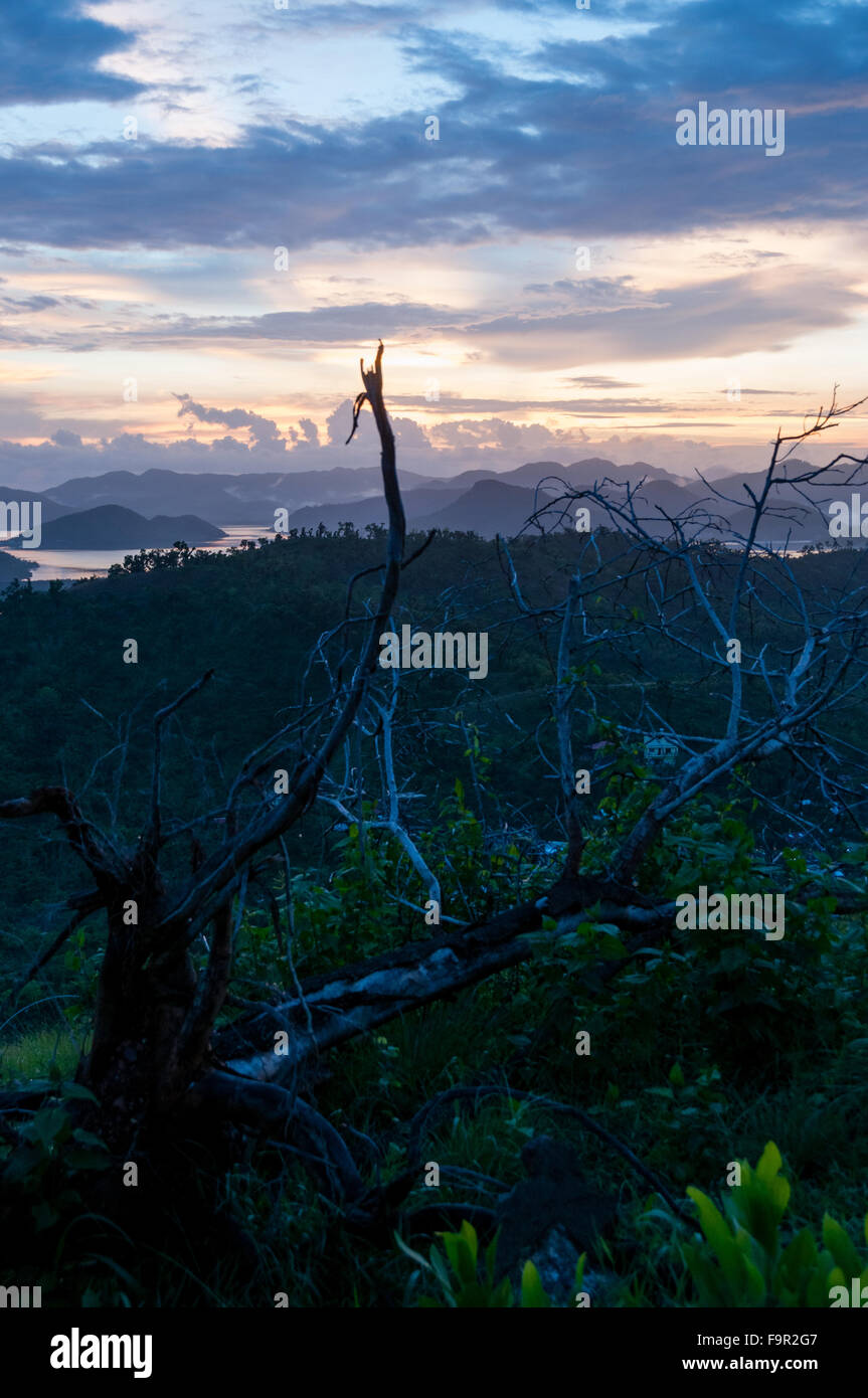 Dead tree on top of a hill overview over ocean and island Stock Photo ...