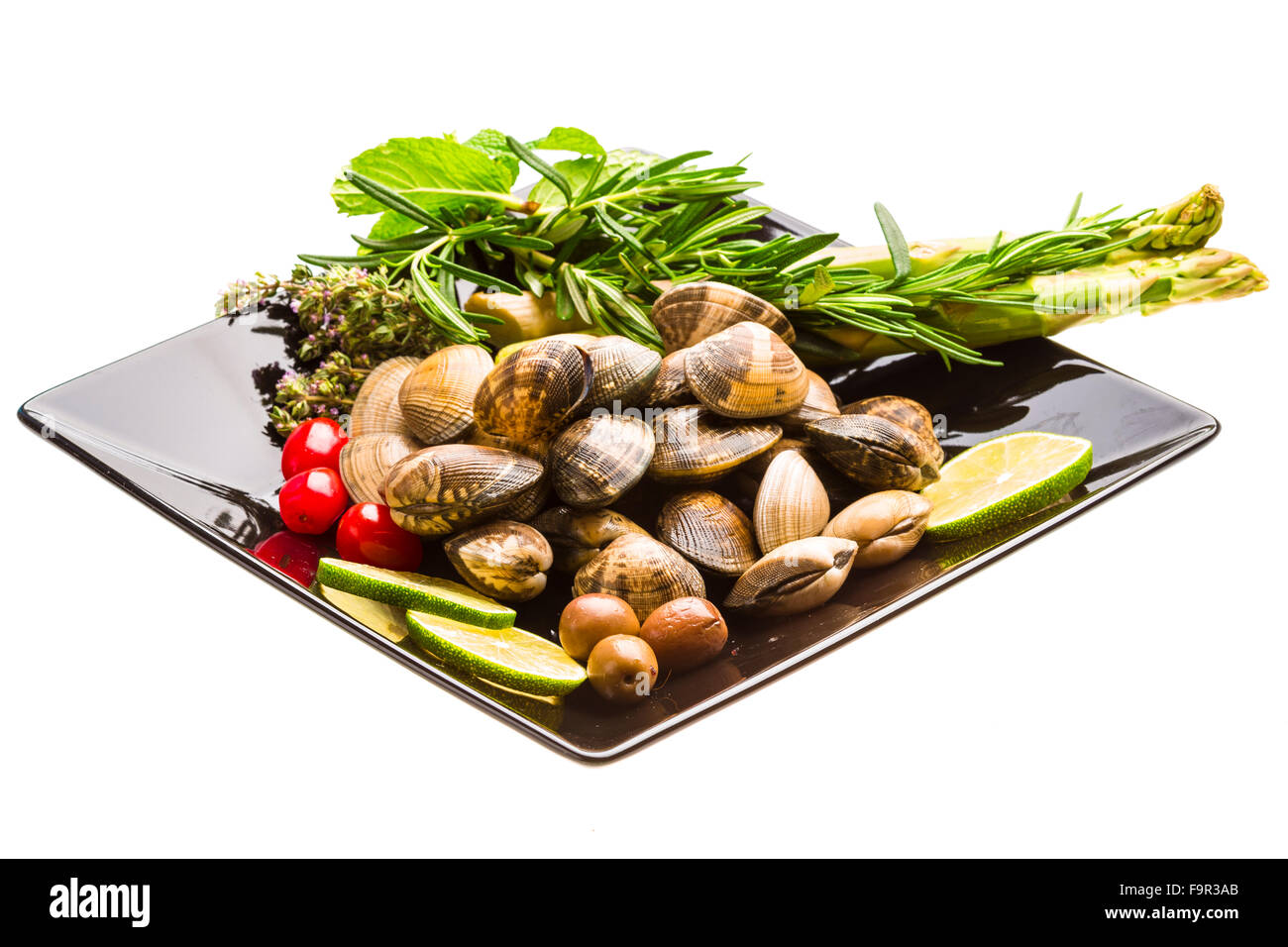 Spanish mollusc - Almeja Stock Photo - Alamy