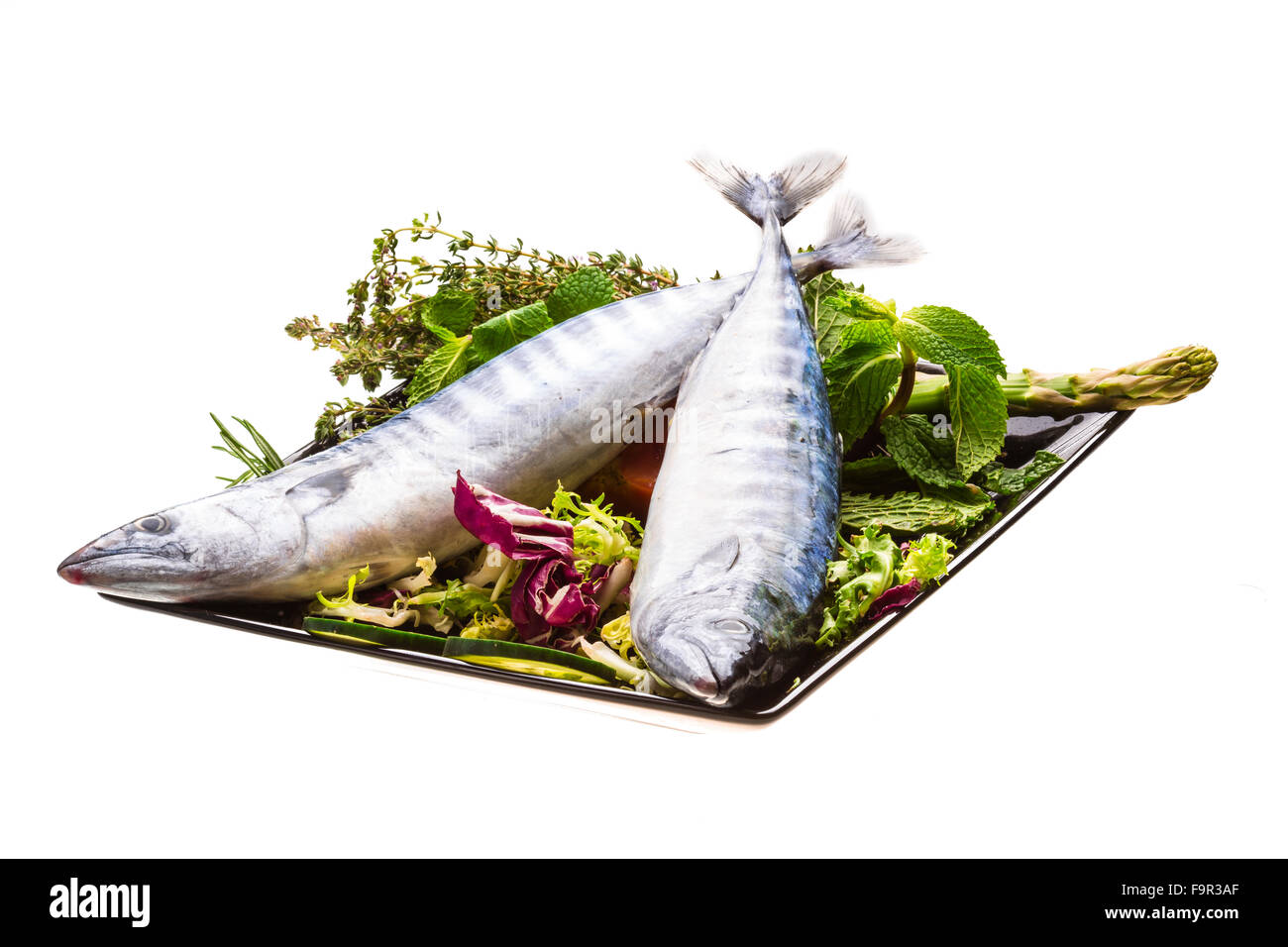 Atlanticmackerel hi-res stock photography and images - Alamy