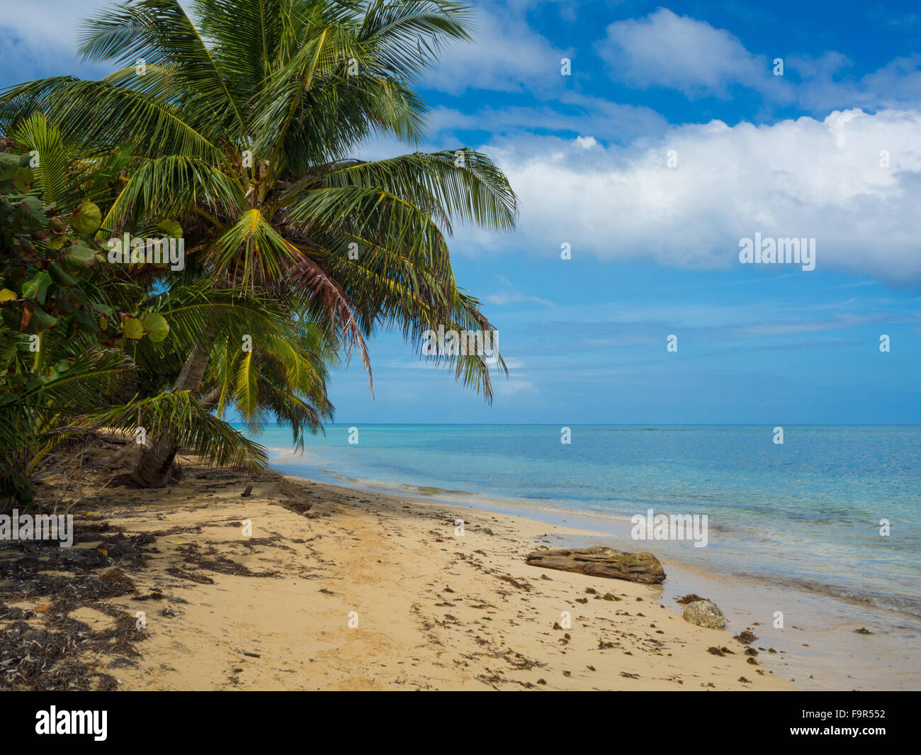 Caribbean tropical weather hi-res stock photography and images - Alamy